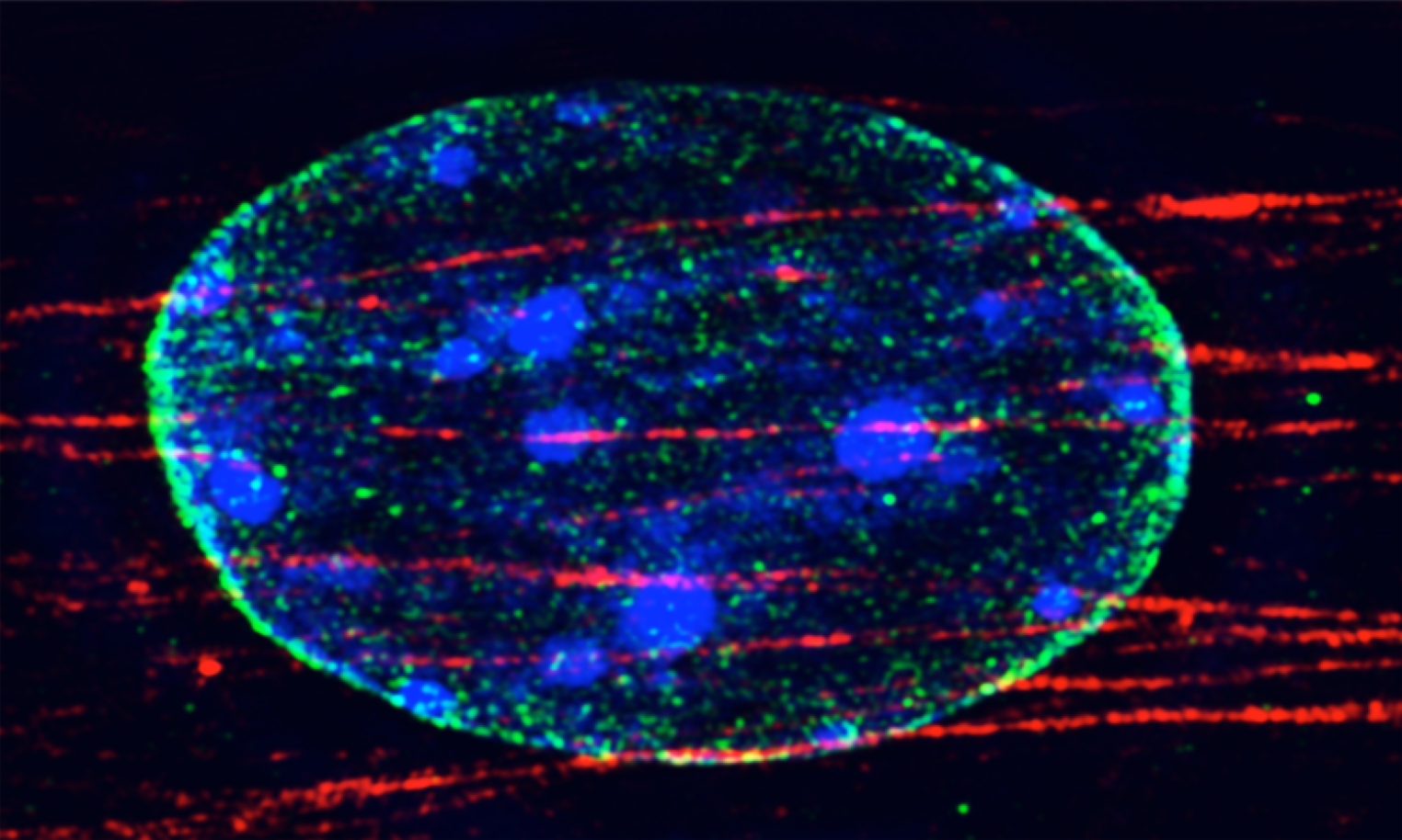 Media – Starr & Luxton Labs